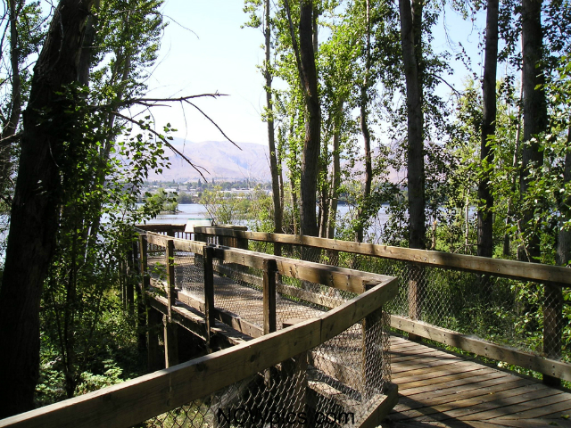 best walks in Washington | Apple Capital Loop Trail