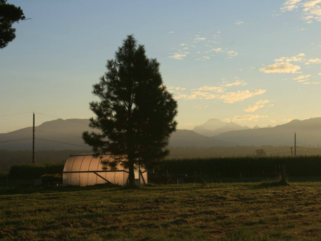best Washington State road trips | Edison
