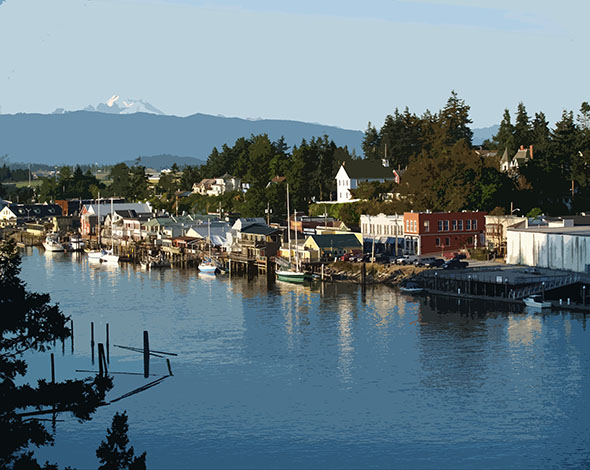 Skagit Valley Winter Birding At Its Best